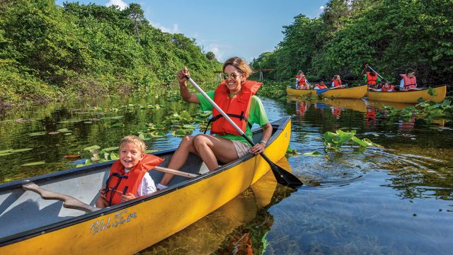 Live Oak at 30 – Fort Lauderdale Magazine