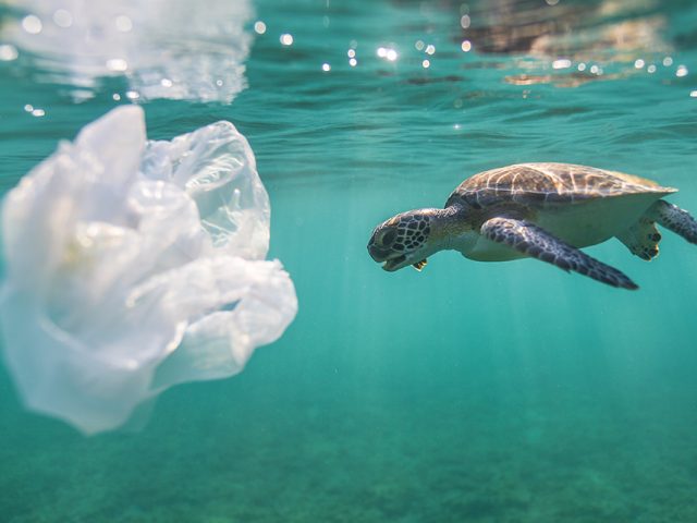 When the Big One Hits – Fort Lauderdale Magazine